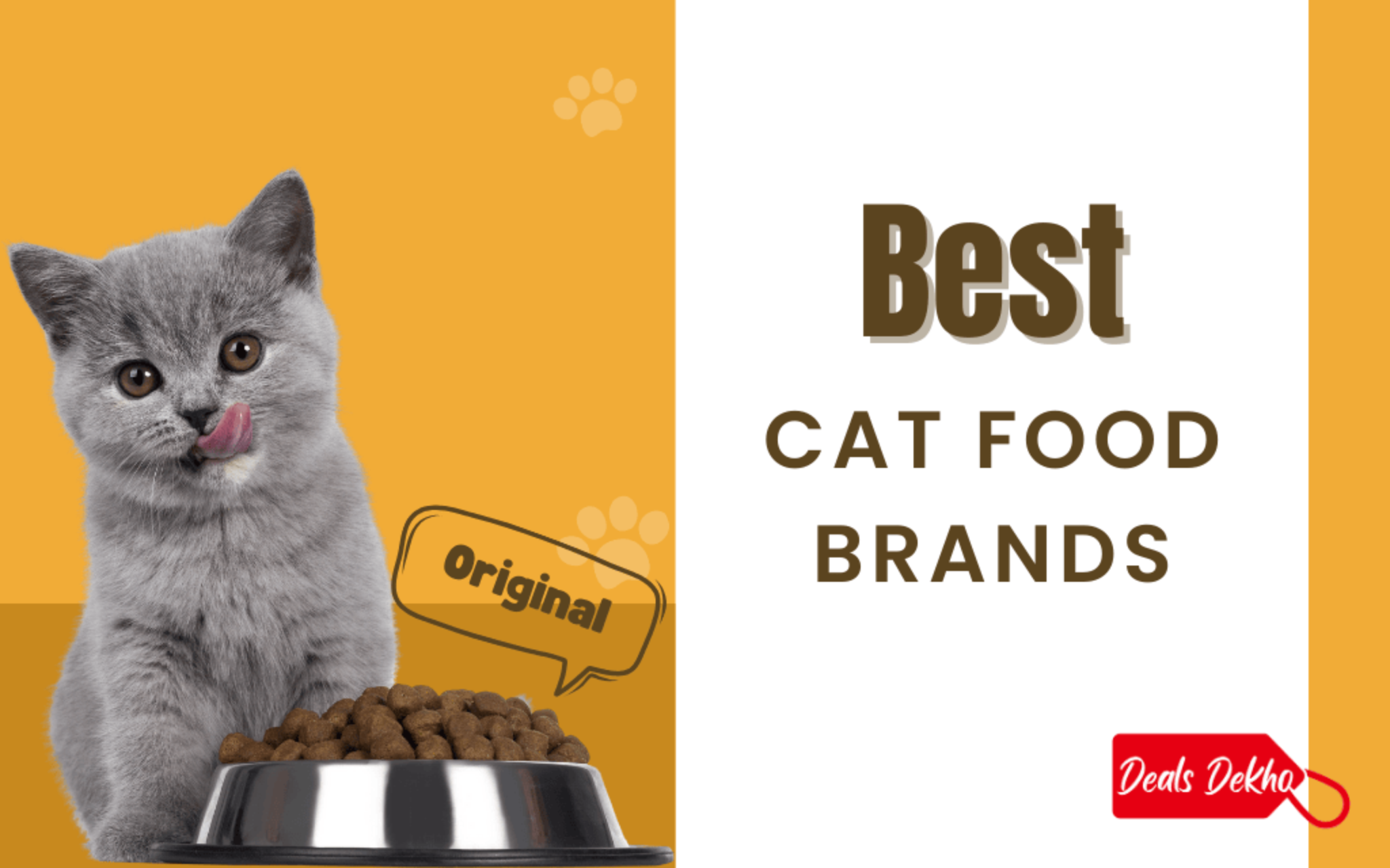 15+ Best Cat Food Brands in India 2025 (Tested & Reviewed)