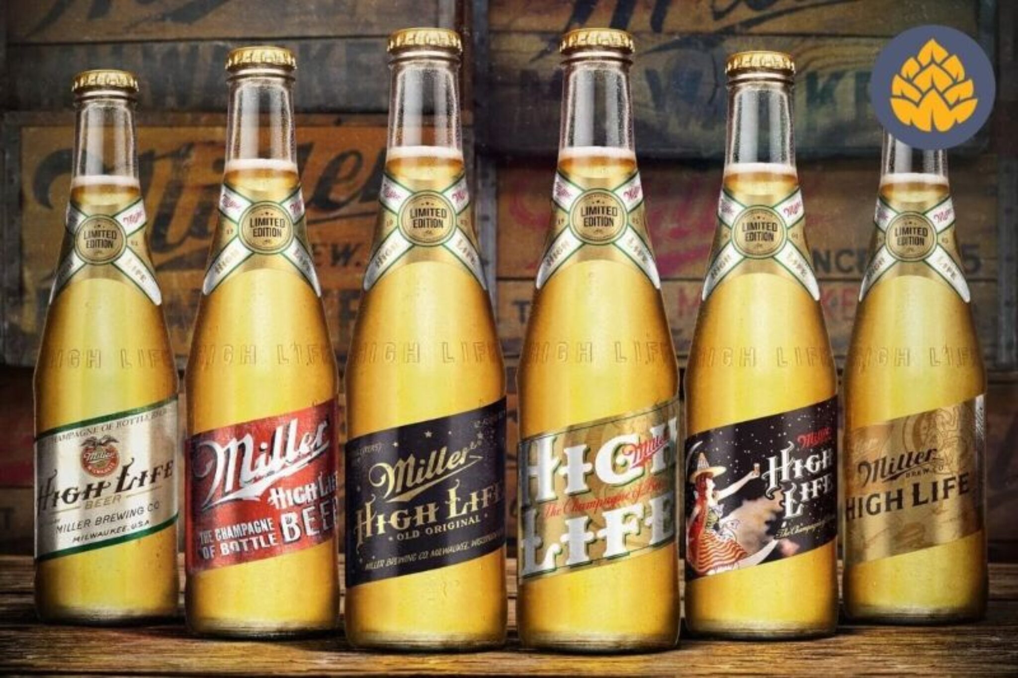 Top 10 Beer Brands in India with Price [2025] Updated List